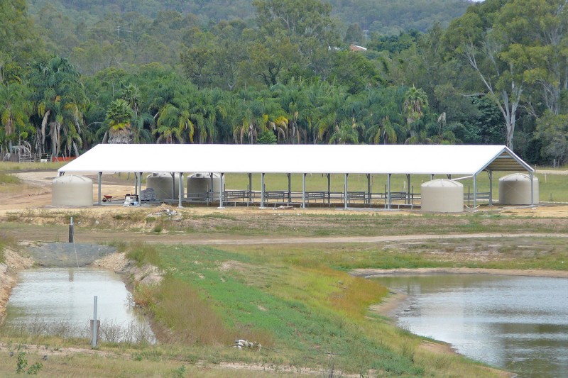 Covered Horse Riding Arenas | The Shed Company | Call 1800 821 033